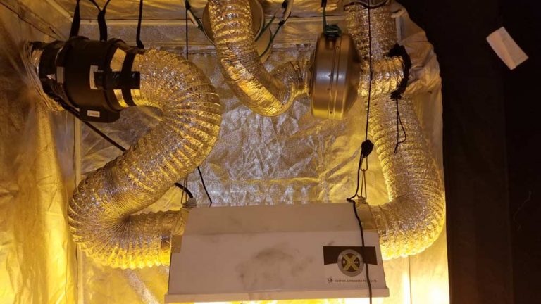 Grow tent ventilation setup - Happy Pot Farmer