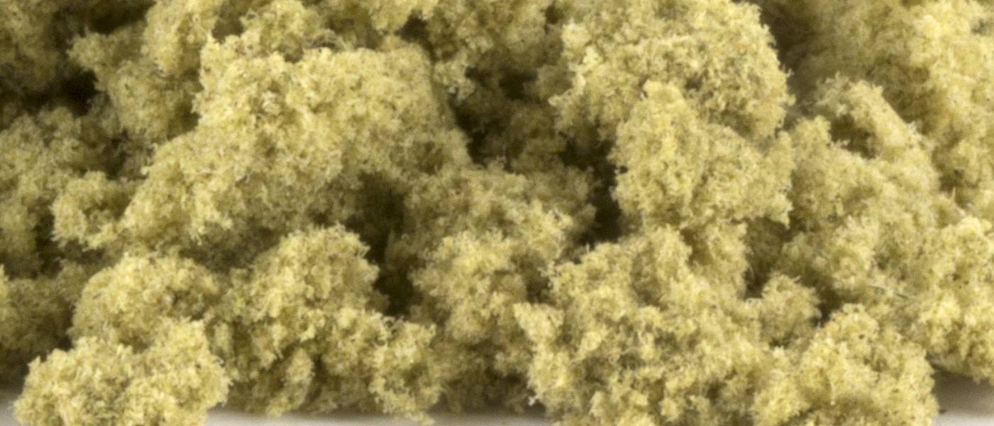 Decarboxylation of Kief: How to Decarb Kief