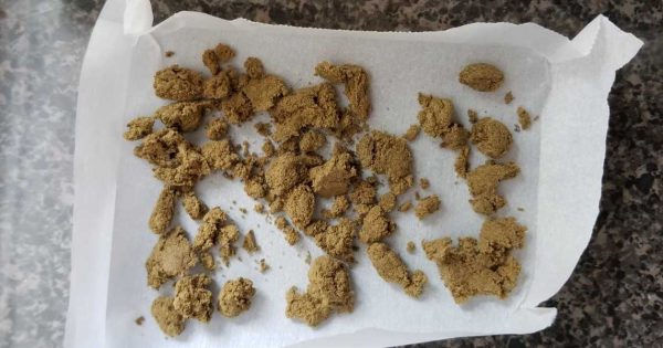 How to decarb scissor hash - Happy Pot Farmer