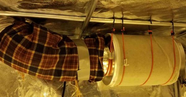 Best LED light for 4x4 grow tent - Happy Pot Farmer