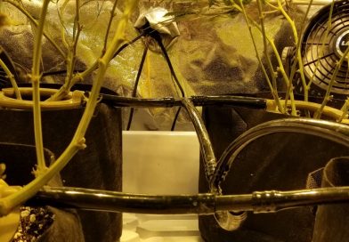 Grow tent ventilation setup - Happy Pot Farmer