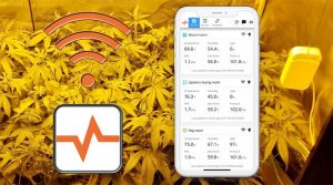 Product Review: Pulse One Grow Room Monitor