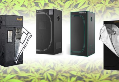 DIY automatic watering system for grow tent: coco drip system - Happy ...